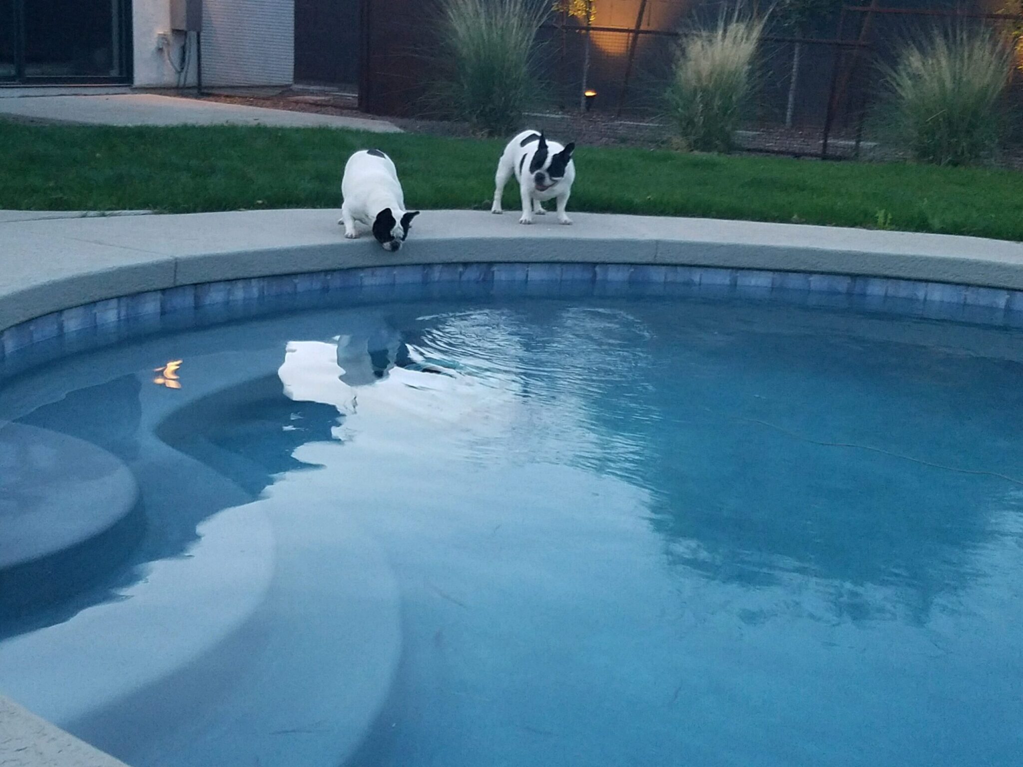 💦 Doctor Pool - #1 Pool Service Rancho Cucamonga | Book Now